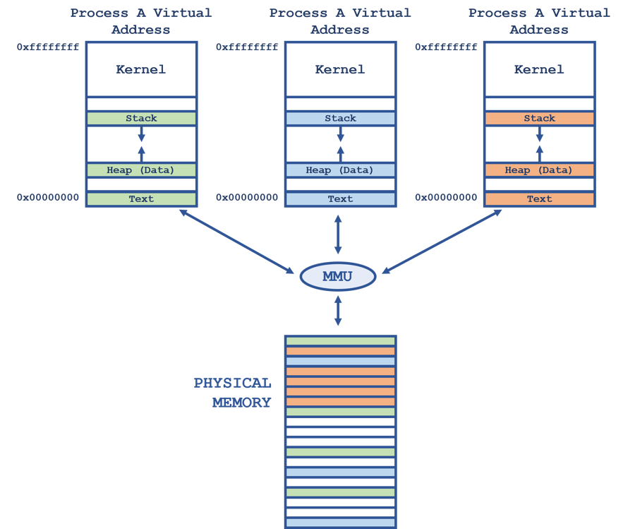 What Are POSIX Processes and Virtual Memory?