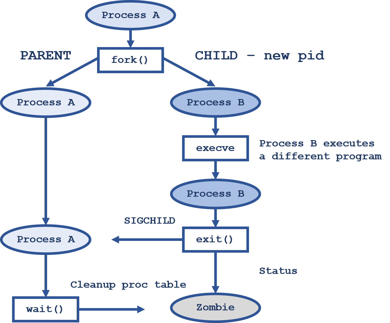 What Are POSIX Processes and Virtual Memory?