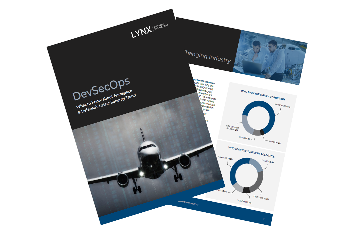 DevSecOps Survey Report
